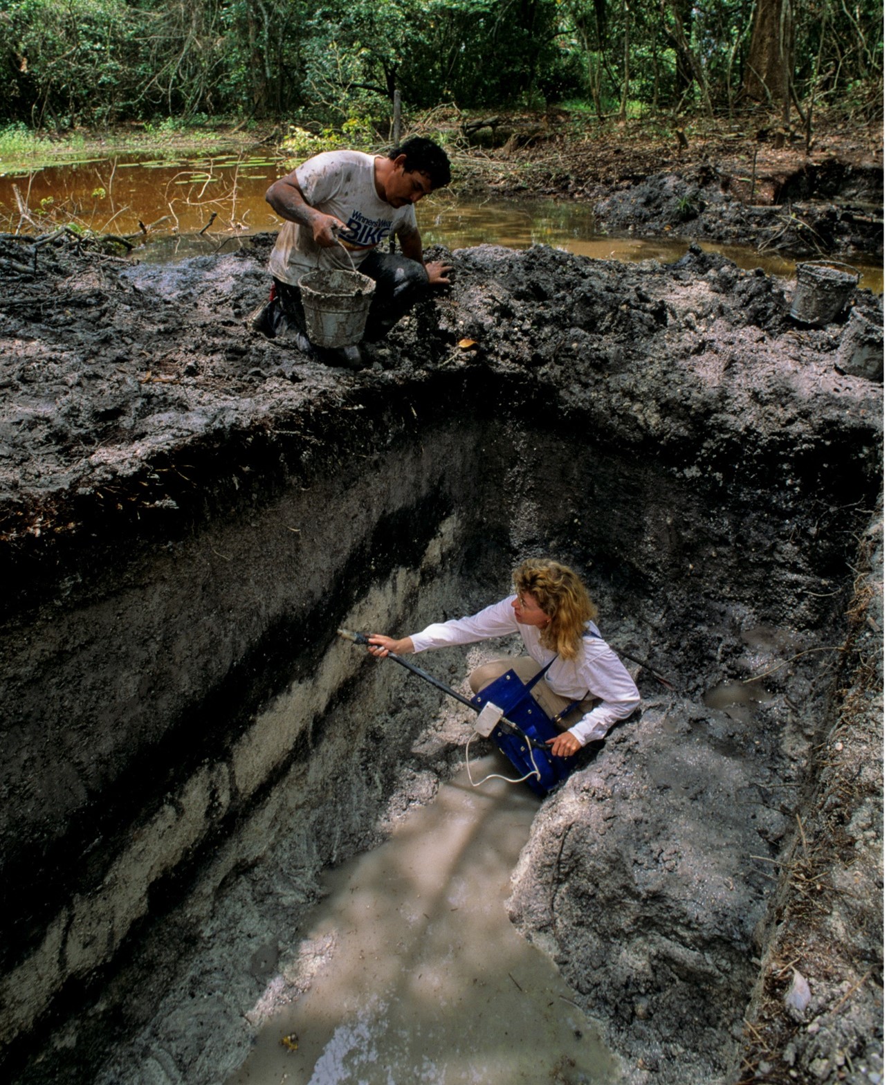 Wetlands of Lower New and Hondo Rivers, Belize, with Pulltrouser Swamp ...